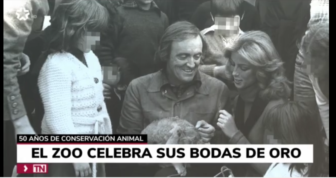 Un año de grandes eventos por el 50.º aniversario del Zoo de Madrid